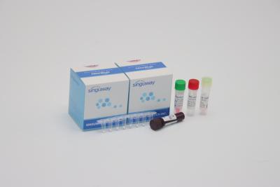 China RSV PCR Detection Kit Respiratory Syncytial Viral Diagnostic Kit Nasal Swab 20uL for sale