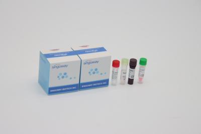 China Alpha Beta Delta Gamma Mutations One Step QPCR Kit Oral Swab For Lab Using for sale