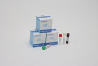 China High Sensitivity PCR Detection Kit for SARS-CoV-2 Mutations 20uL Reaction Volume for sale