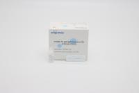 China H Pylori Antibody Rapid Test Kit Whole Blood Serum Plasma 20 Tests for sale
