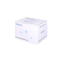 China 32T Magnetic Bead Nucleic Acid Purification Kits Viral DNA Isolation Kit for sale