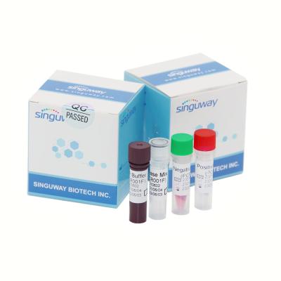 China Nasal Swab Covid Omicron Mutation PCR Detection Kit Molecular Diagnostic Test for sale