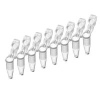China 0.2ml 8-Strip PCR Tube Transparent Medical PP Disposable Lab Consumable for sale