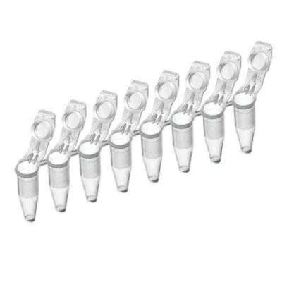 China 0.2ml 8-Strip PCR Tube Transparent Medical PP Disposable Lab Consumable for sale
