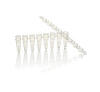 China 8 Union Strip Pcr-Pt Micro Pipe PCR Accessories Thin Walled PCR Tubes 0.2 Ml for sale
