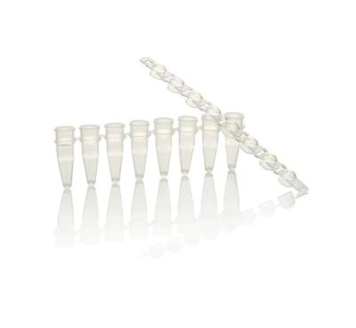 China 8 Union Strip Pcr-Pt Micro Pipe PCR Accessories Thin Walled PCR Tubes 0.2 Ml for sale