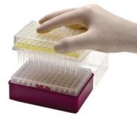 China Lab Consumable PCR Pipette Tips Disposable Micropipette Tips 10-1250μL for sale