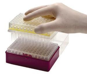 China Lab Consumable PCR Pipette Tips Disposable Micropipette Tips 10-1250μL for sale