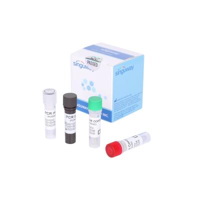 China Fluorescent RT PCR Test Kit for 2019 NCoV Influenza A Virus Influenza B Virus 48 Tests for sale