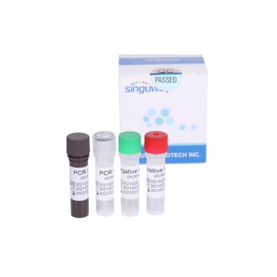 China Hepatitis B Virus DNA HBV Real Time PCR Kit Quantitative Diagnostic 30 IU/ML Sensitivity for sale