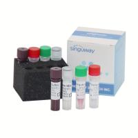 China Home Qualitative MTHFR Gene Test Kit 50uL Volume 2000 Copies/ML Sensitivity for sale