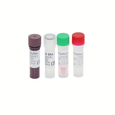 China HBV HCV HIV-1 Genome RT PCR Test Kit High Sensitivity 30 IU/ML for sale