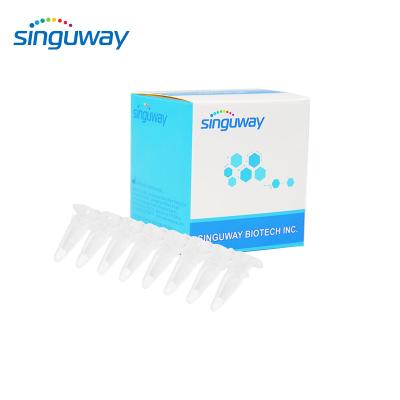 China 15 Types HPV Real Time PCR Kit 40uL Qualitative Detection for Human High Risk HPV DNA for sale
