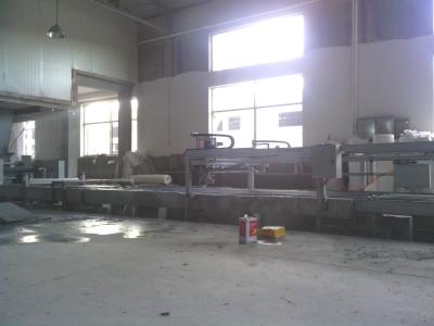 China Sandwich Lightweight Wall Panel Machine with Double Drive Double Roller Extruding Tech for sale