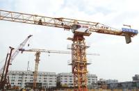 China ZTT366 Topless Tower Crane 18t Capacity 75m Jib 3t Tip Load Construction Hoist for sale