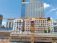 China ZTT146 Flat Top Tower Crane 6t Capacity 60m Jib 1.5t Tip Load High Safety Mini Crane for sale