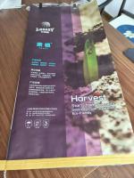 China Waterproof Customized Size High Tensile Strength PP Woven Sacks for Grain and Bean Packing for sale