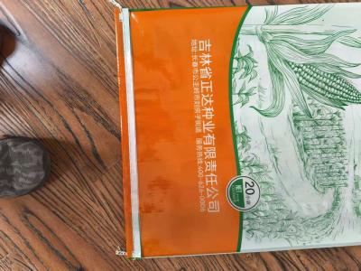 China Stitched Closure Waterproof Grain Bag with Multilateral Sides Sealing for Durable Bean Packing for sale