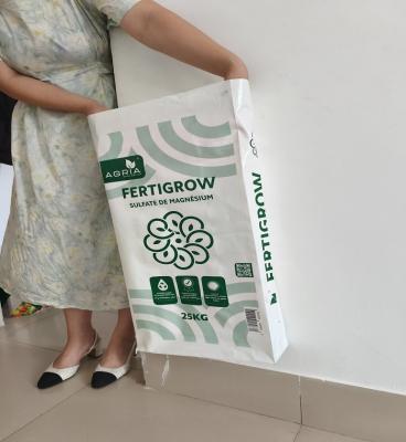China Customizable Pe Liner Bag Free Sample Available For Heavy Duty Packaging for sale