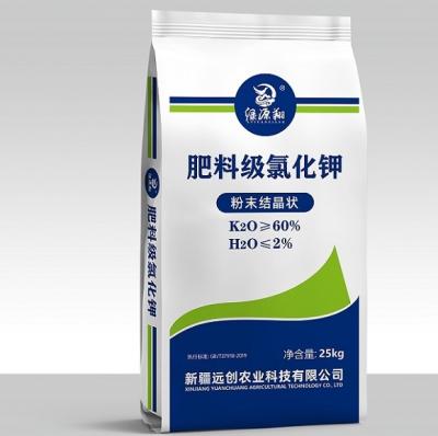 China 0.15mm-0.6mm Thickness PE Bags With 20kg Capacity Customized Sizes for sale