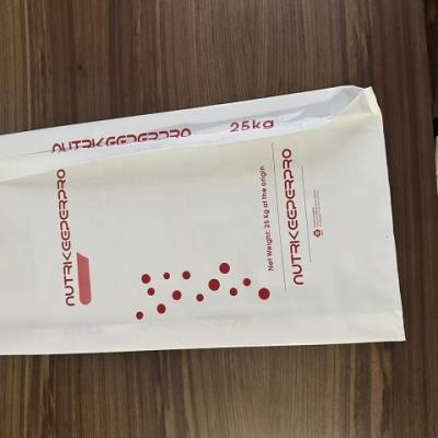 China durable Sturdy Printing PE Polyethylene Bag  with customized size and material for sale