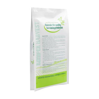 China Heavy Duty PE Bags with Heat Seal Closure and Custom Printing for Secure Packaging for sale