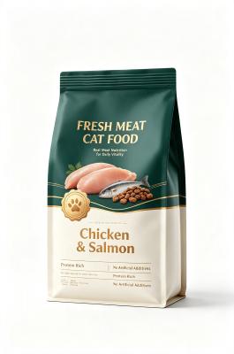China Durable Food-Grade PE/PP Laminated Stand Up Zipper Bag with Resealable Zipper Seal for Pet Treats and Spices for sale