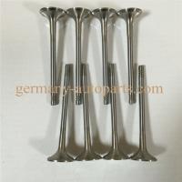 China Chrome Silicon Steel Engine Timing Control Intake Exhaust Valve Set For VW Audi 06D109601M for sale