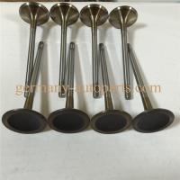 China Chrome Silicon Steel Engine Timing Control Intake Exhaust Valve Set For VW Audi 06D109601M for sale