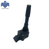 China 12V Operating Voltage Car Ignition Parts Coils Panamera Macan 06K 905 110 C for sale
