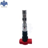 China Phaeton S4 4.2L V8 Spark Plug Coil , 077 905 115 T B Q E Automotive Ignition Coil for sale