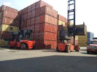 China Logistic Yard 9000kgs 9t forklift Empty Container Handler for sale