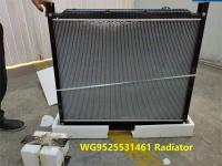 China Radiator Assy WG9525531461 HOWO Truck Parts Aluminum Cooling System 1KG for sale