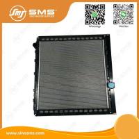 China Radiator Assembly DZ9H389530013 HOWO T5G Truck Engine Coolant Radiator 1KG for sale