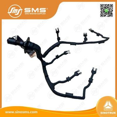 China Injector Wiring Harness 202V25413-6266 for HOWO C5H C7H C9H Truck Parts 1KG for sale