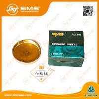 China SMS-10012 Copper Core Hole Plug 75×11 mm for Sinotruk Howo Truck Engine Parts 190003989210 for sale