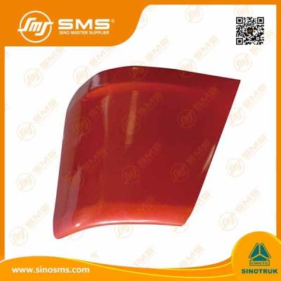 China WG1642111013 Outside Cover Left For Sinotruk Howo Truck CAB Spare Parts 850x50x10mm for sale