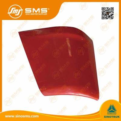 China WG1642111014 Outside Cover Right for Sinotruk Howo Truck CAB 850x50x10 mm for sale