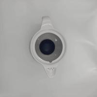 China Automatic Ceramic Electric Cooking Pot for Traditional Chinese Medicine 4.0L for sale