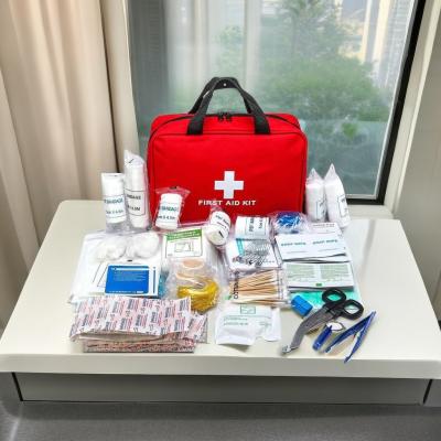 China Large EVA Empty First Aid Bag 28x18cm CE Certified Emergency Kit for Middle East for sale