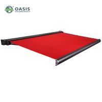 China Retractable Electric Awning with 0-100° Adjustable Angle & Remote Control for Patios, Windows, and Doors for sale