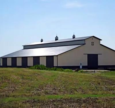 China Large Span Modern Steel Frame Building with 50 Years Using Life and Portal Frame Structure for Industrial Workshop for sale