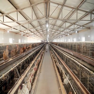 China Q235B Q355B ASTM A36 Prefab Poultry House Farm Modern Structures Good Insulation for sale