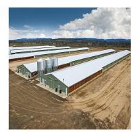 China Galvanized Steel Poultry House Framing Resists Rust In Humid Poultry Environments for sale
