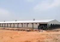 China Galvanized Steel Poultry House Framing Resists Rust In Humid Poultry Environments for sale