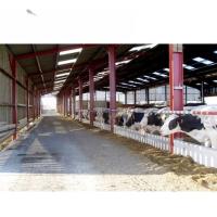 China Industrial Modular Steel Frame Building Complex Steel Frame Building For Warehouses Sheds for sale