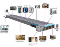 China Galvanized Steel Warehouse 200kg/m² Load Bearing Prefabricated Structure for sale