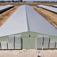China Steel Horse Shed For Optimal Protection And Comfort Portal frame for sale