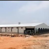 China Portal Frame Poultry House Q235B Q355B ASTM A36 Earthquake Resistant for sale