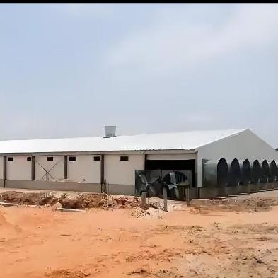 China Portal Frame Poultry House Q235B Q355B ASTM A36 Earthquake Resistant for sale